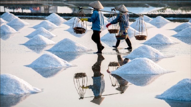 Vietnam's Most Beautiful Salt Fields - Amazing destination for those ...