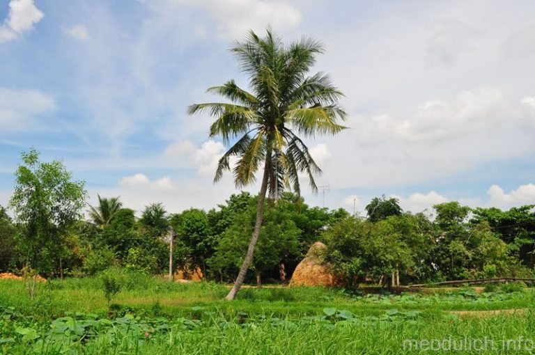 Let’s Visit Ben Tre Province - Come To The Peaceful Countryside Called ...